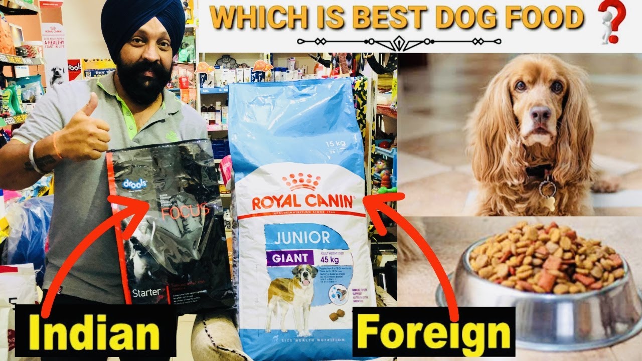 Call 82890 88895 - Best Dog Food - Indian or Foreign? - Watch Live #340 ...