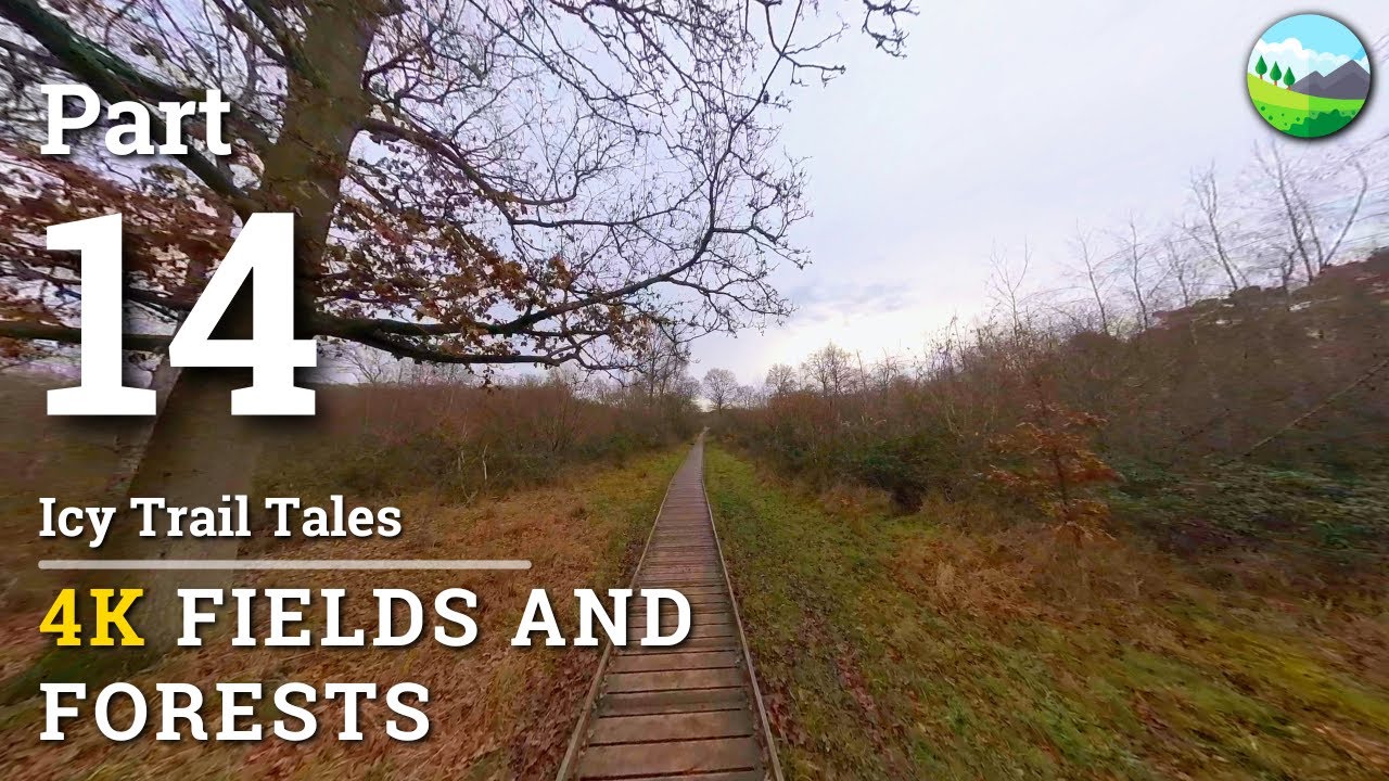 Icy Trail Tales - 4k Fields and Forest no music - YouTube