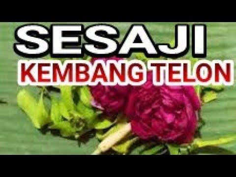 MISTERI RITUAL BUANG KEMBANG TELON ( BUNGA TIGA MACAM ) di Perempatan ...