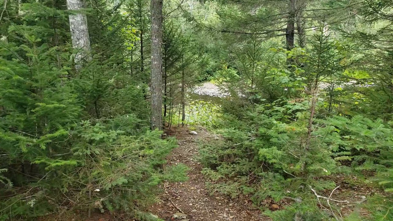 Video of East Branch Pleasant River in KI Jo Mary Multi-use Forest, ME from Jean C. - YouTube