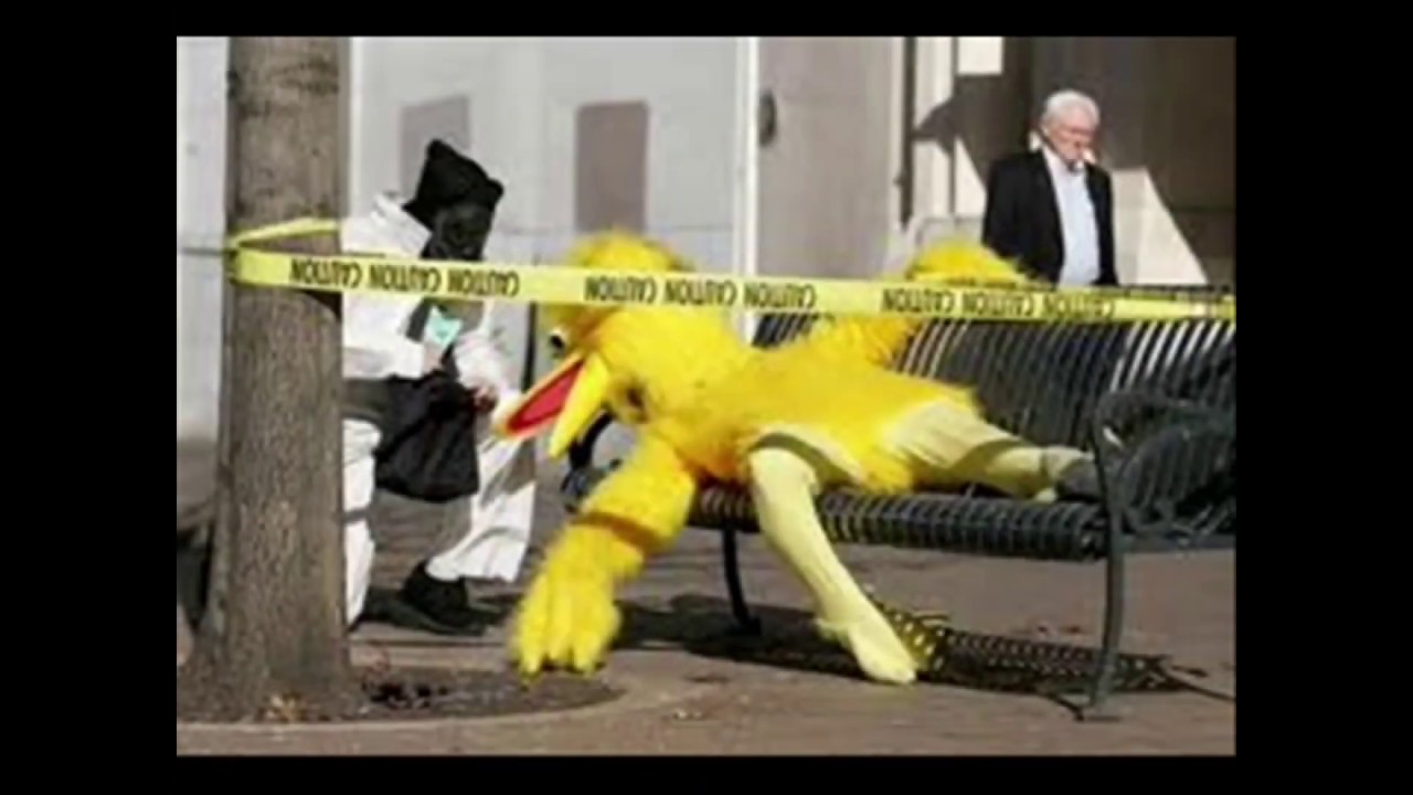 R.I.P Big Bird - YouTube