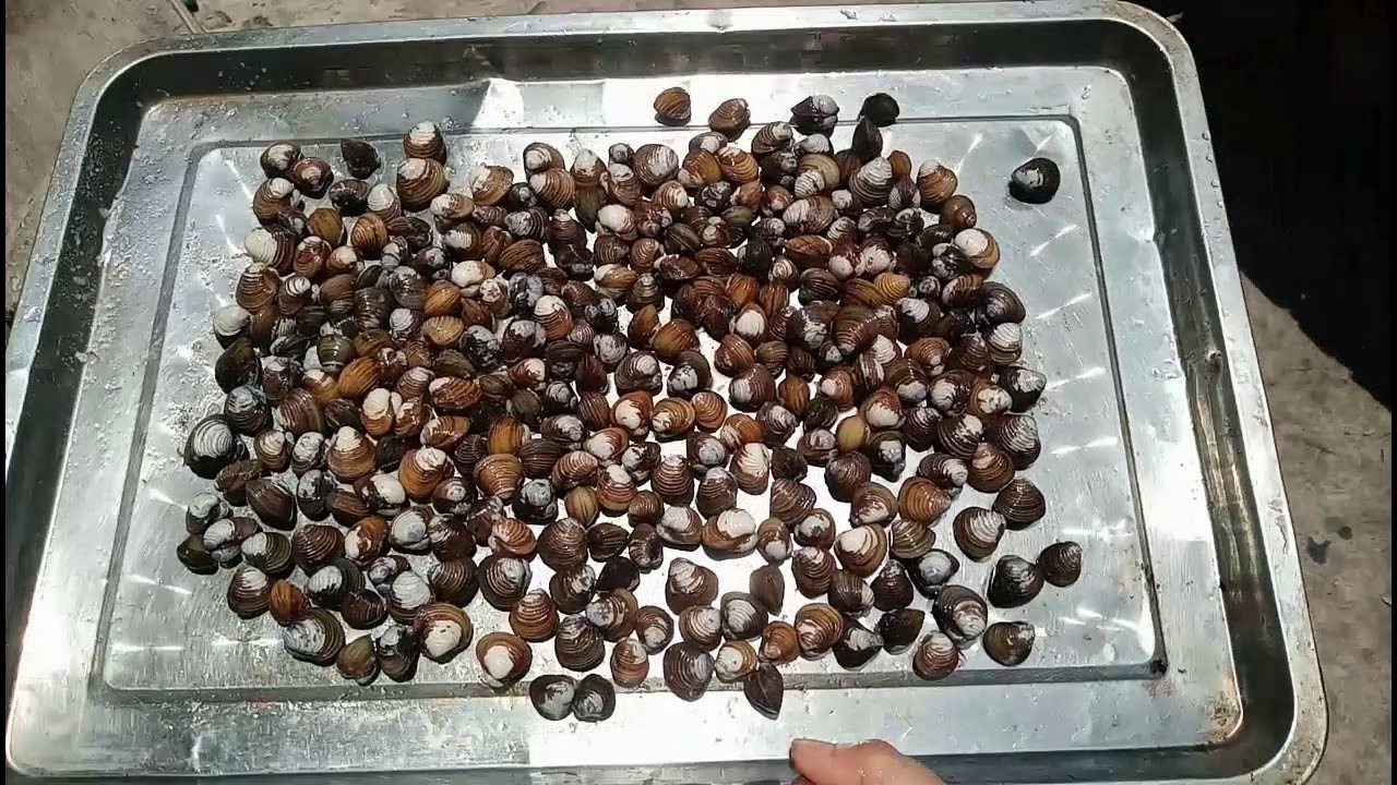 Sun Dried Clams recipe and Delicious (Original Leas Hal ) - YouTube