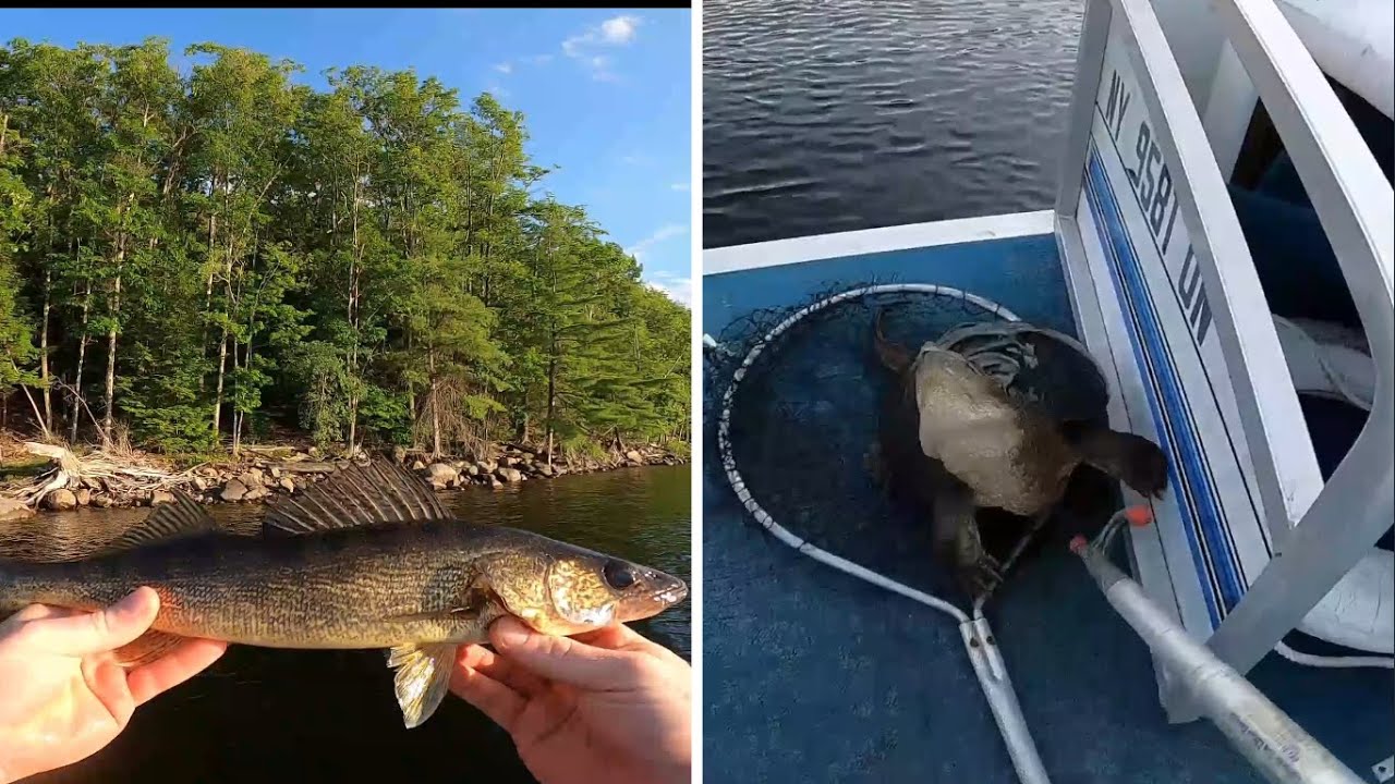 Giant Snapping Turtle Caught Refuses To Leave Boat - ADK Walleye ...