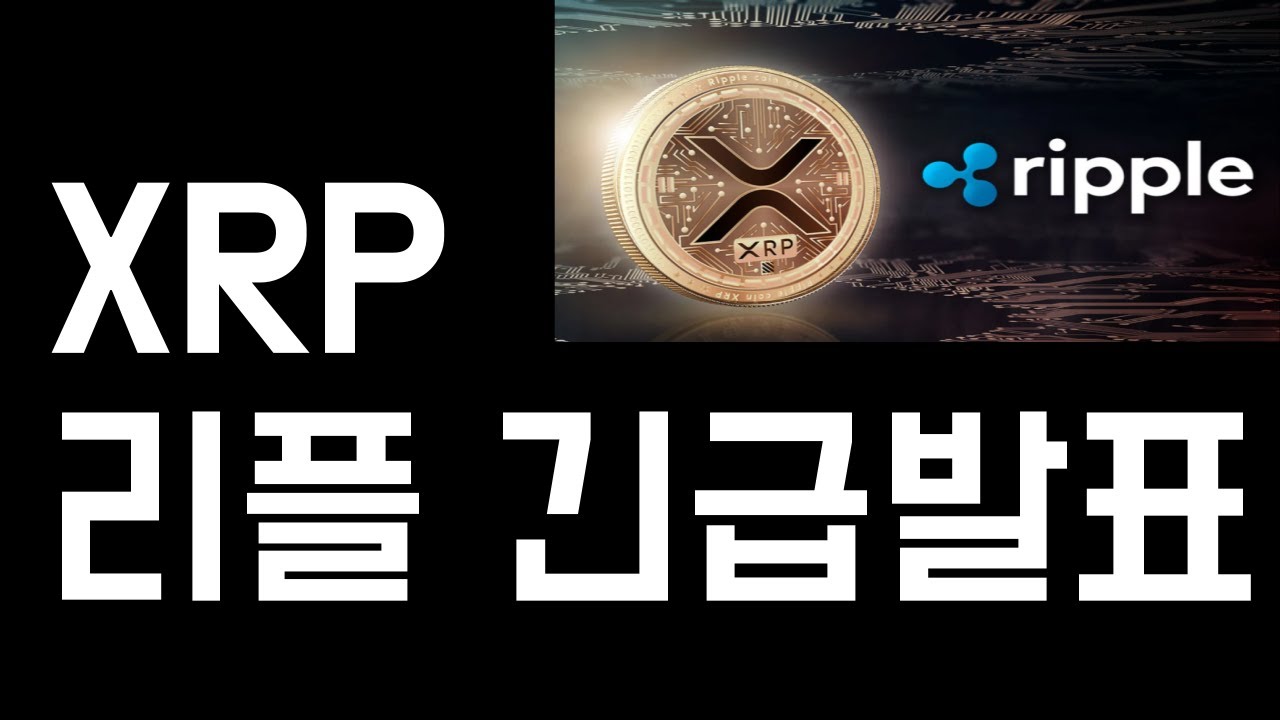 Xrp 리플코인 긴급발표 아비규환 드디어 폭등각 떠버린 3가지 이유 리플 리플코인전망 리플코인 Youtube
