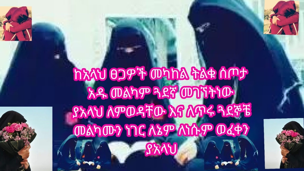 ጓደኞቼ ዘመዶቼ ሰለማላወራቸውተጣሉኝ ፀባይቀይረሻል ሲመቻችልሽአሉኝ በዩቱብየመጣ ታዳ ጓደኞቼ ...