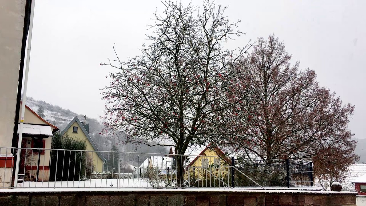Vogelbeerenbaum bei Kirche in Karsbach mit Schnee 2021 - YouTube