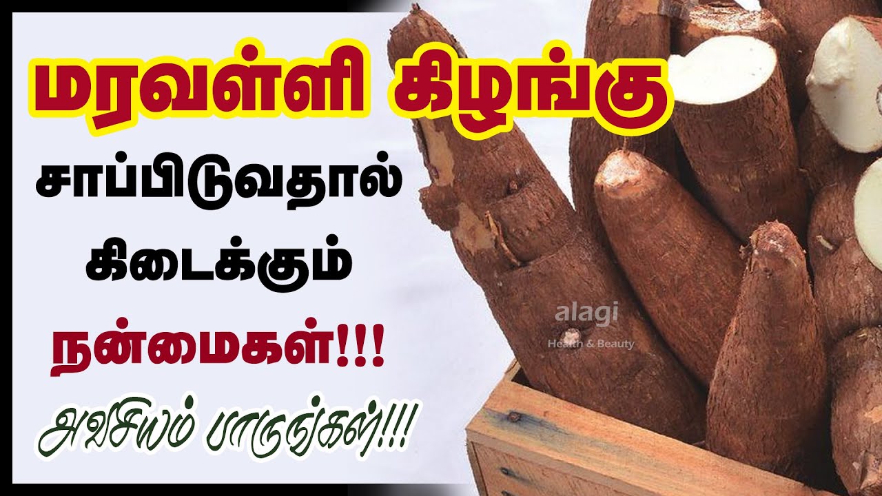 மரவள்ளிக் கிழங்கு மருத்துவ பயன்கள் | Maravalli kilangu Benefits in ...