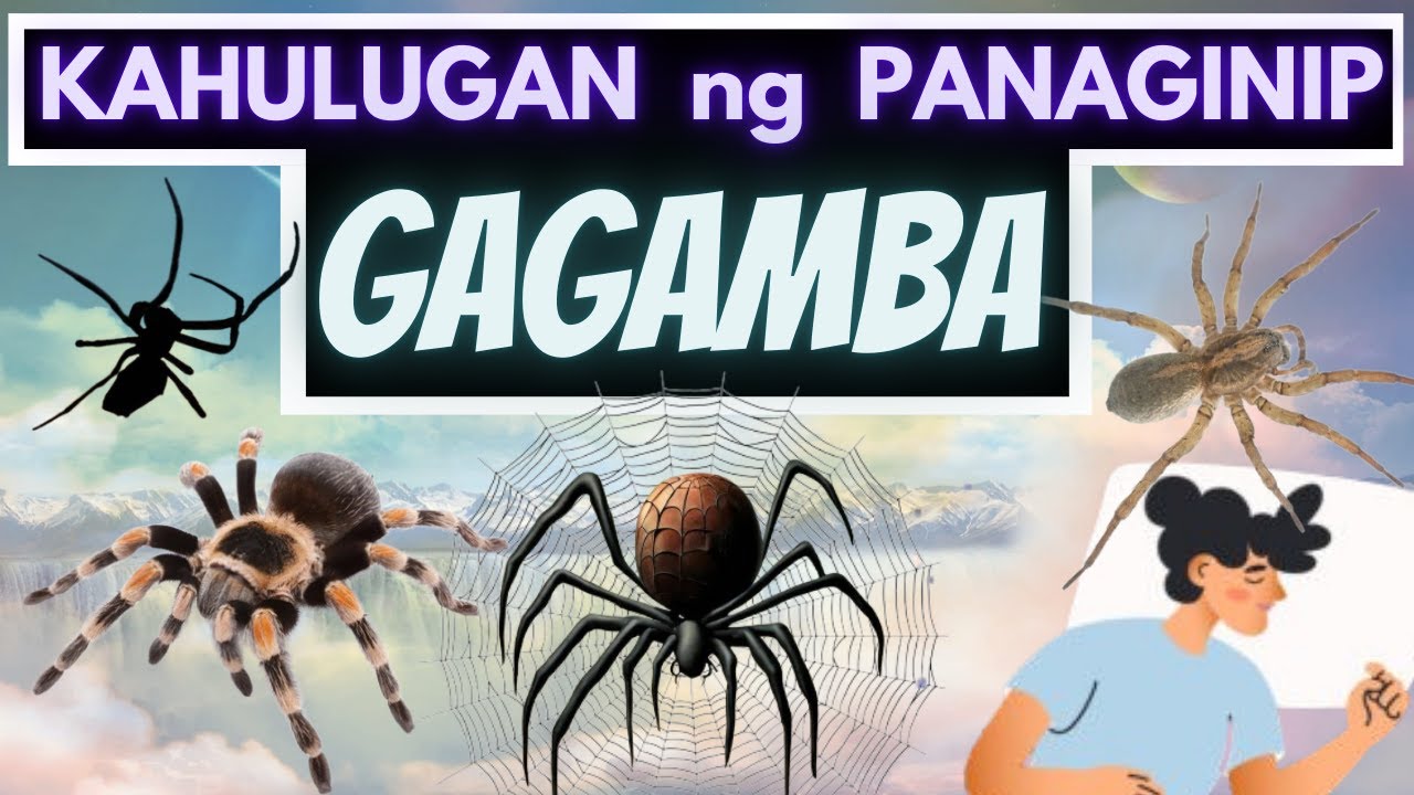 🕷️ Kahulugan ng PANAGINIP ng GAGAMBA | Ano ang IBIG SABIHIN ng DREAMS ...