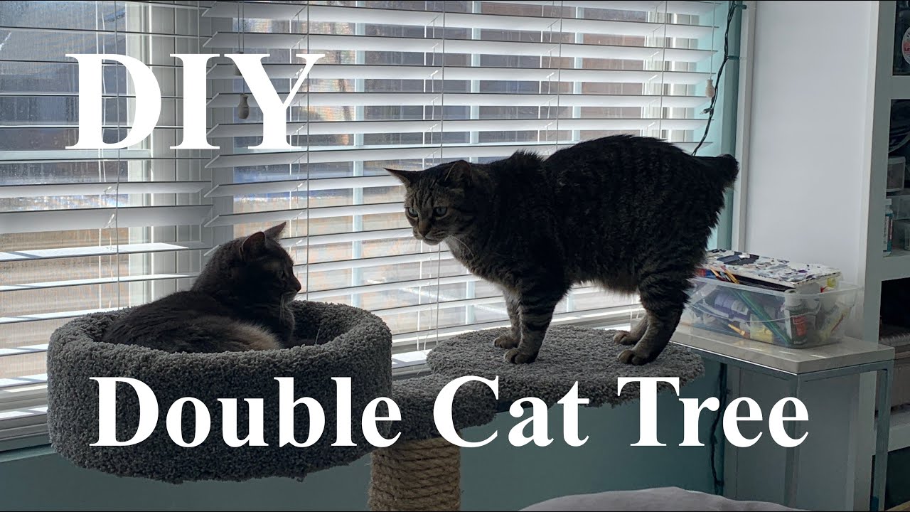 DIY Double Cat Tree - YouTube
