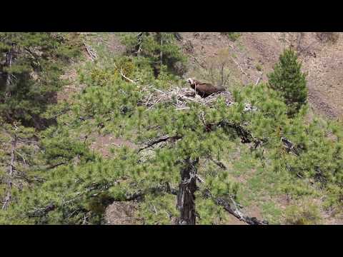 KARAAKBABA YUVASINI HİÇ  YAKINDAN GÖRDÜNÜZ MÜ ?