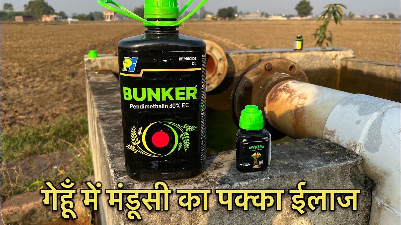 Pi industries Awkira for pre emergence weed control in wheat / Awkira ...