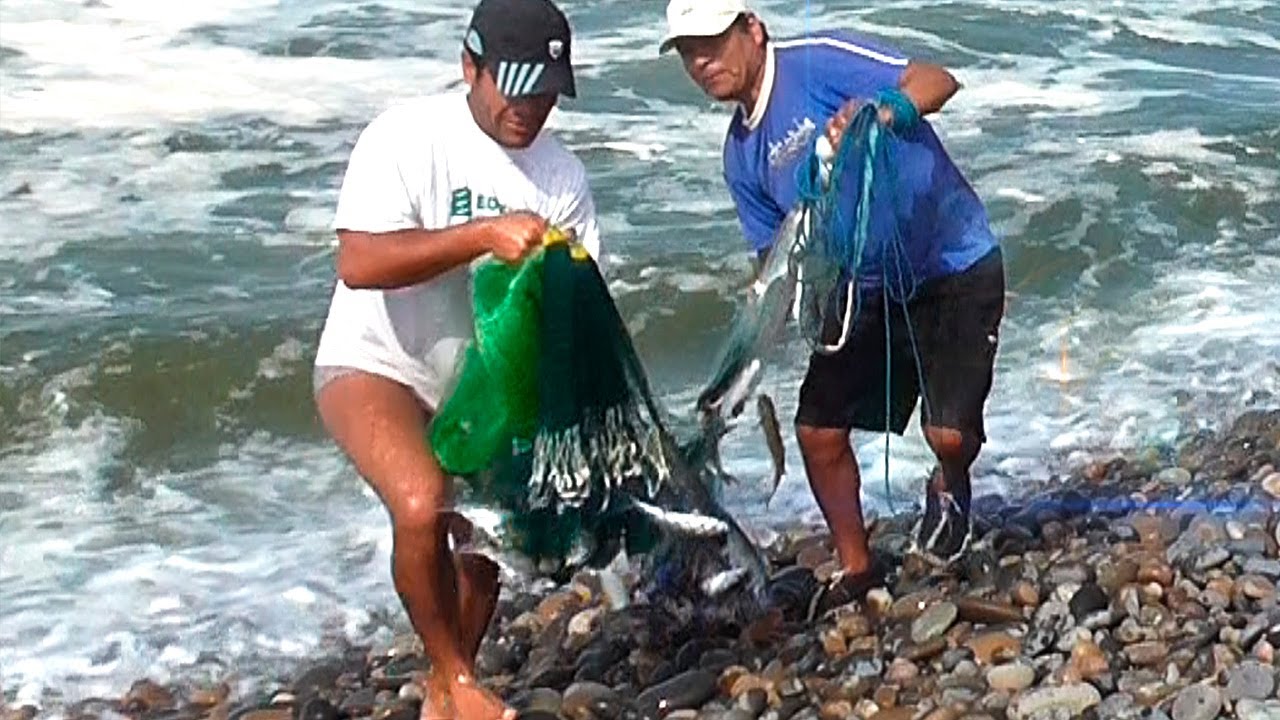 ¡IMPOSIBLE! Encontraron Poza REPLETA de Peces y VACIARON el Mar - YouTube