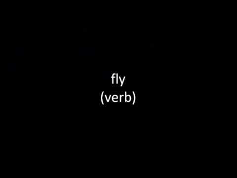 fly (verb) - YouTube