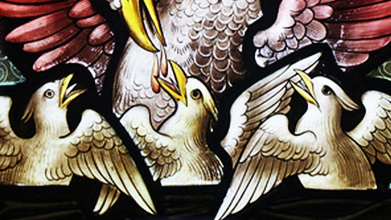 04- Christian Symbol " Pelican and Swan" رمز البجعة في المسيحية - YouTube