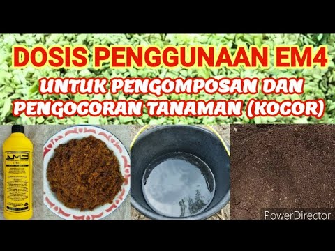 Dosis Penggunaan EM4 Untuk Pembuatan Pupuk Organik Dan Pengocoran Tanaman