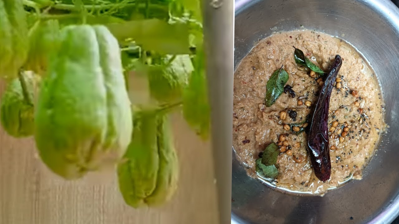 சௌ சௌ வைத்து சுவையான சட்னி செய்லாம்|chow chow chatni| - YouTube