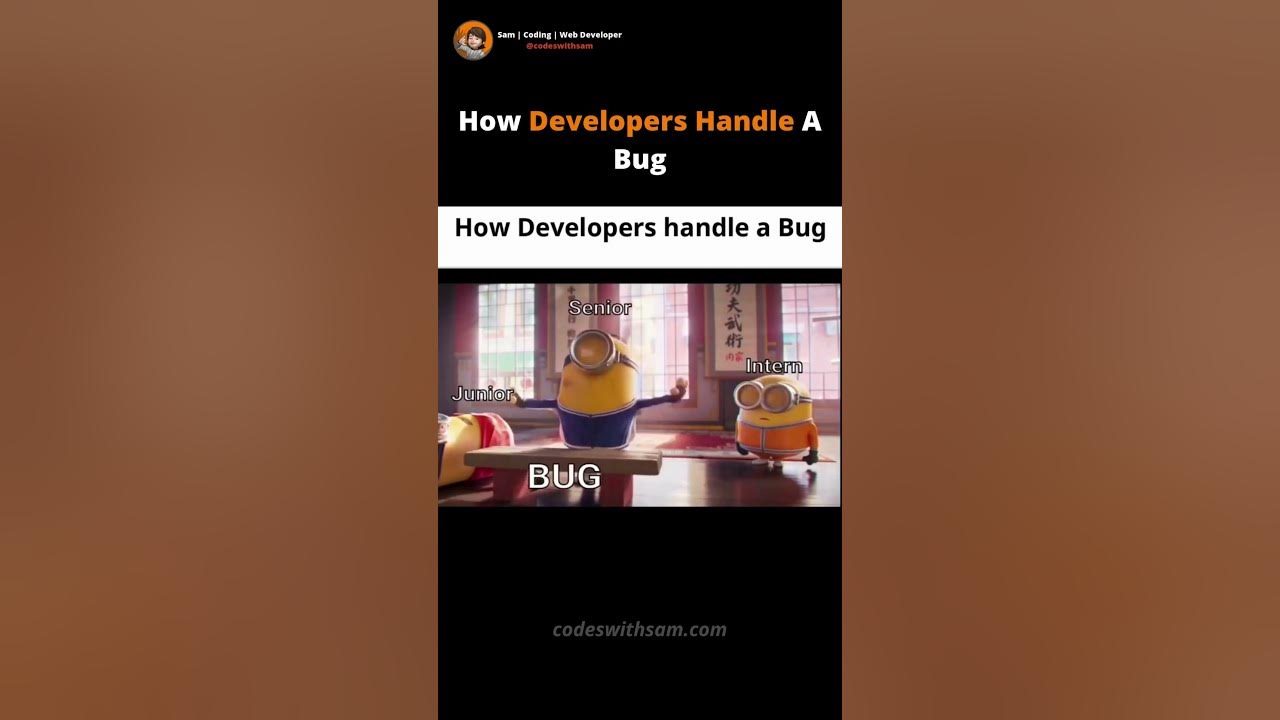 How New Guy Solving The Bug | Codeswithsam #coding #programming #developer #bug - YouTube