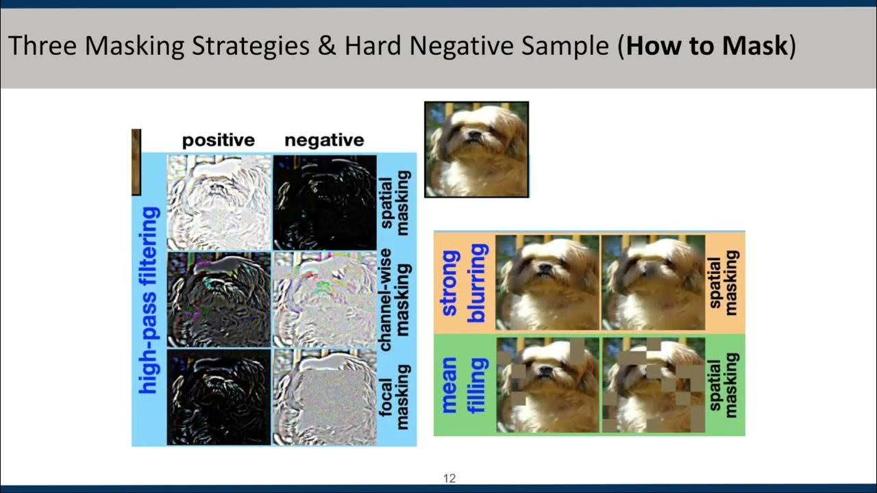 Masking Improves Contrastive Self-Supervised Learning for ConvNets, and ...