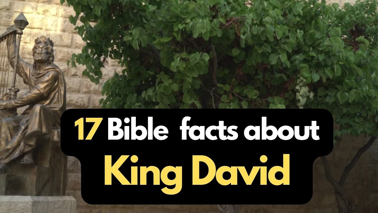 17 Amazing Facts about king David - YouTube