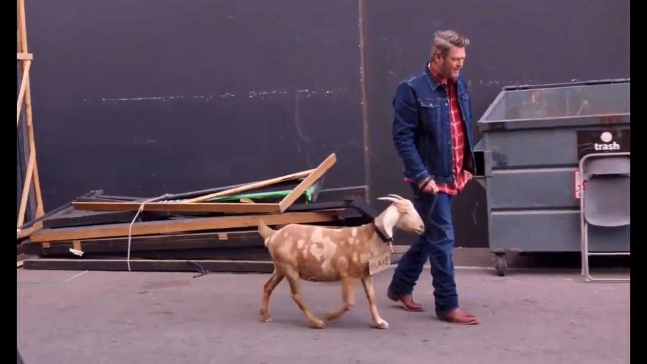 blake shelton and his goat on the voice - YouTube