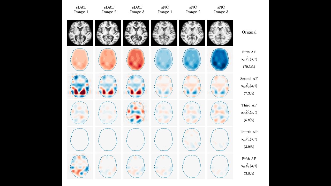 Supervised Two Dimensional Functional Principal Component Analysis Youtube