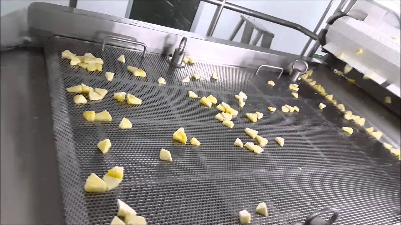 OctoFrost Frozen - IQF Fruits: Pineapple - YouTube