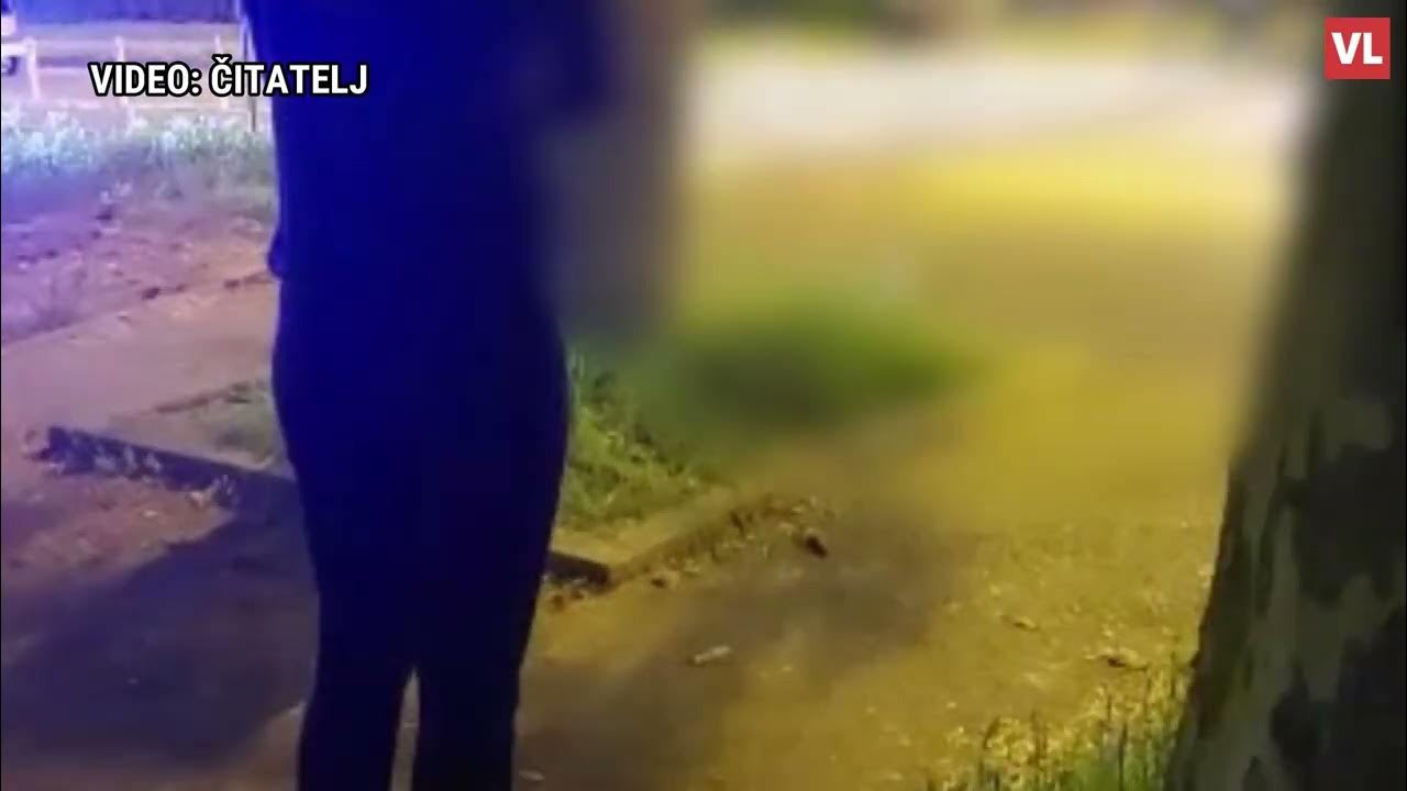 Širi se snimka privođenja muškarca kod Studentskog doma na Savi - YouTube