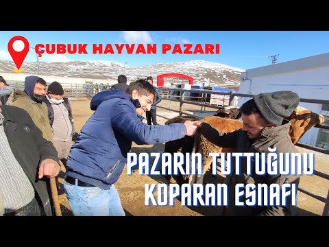PAZARIN TUTTUĞUNU KOPARAN ESNAFI | ÇUBUK HAYVAN PAZARI | 10.02.2022 |