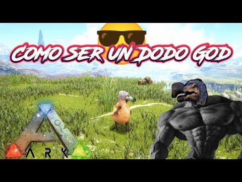 Como ser un Dodo God en Ark - YouTube