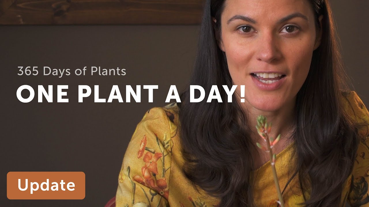 One Plant A Day 365 Days Of Plants YouTube one-plant-a-day-365-days-of-plants-youtube