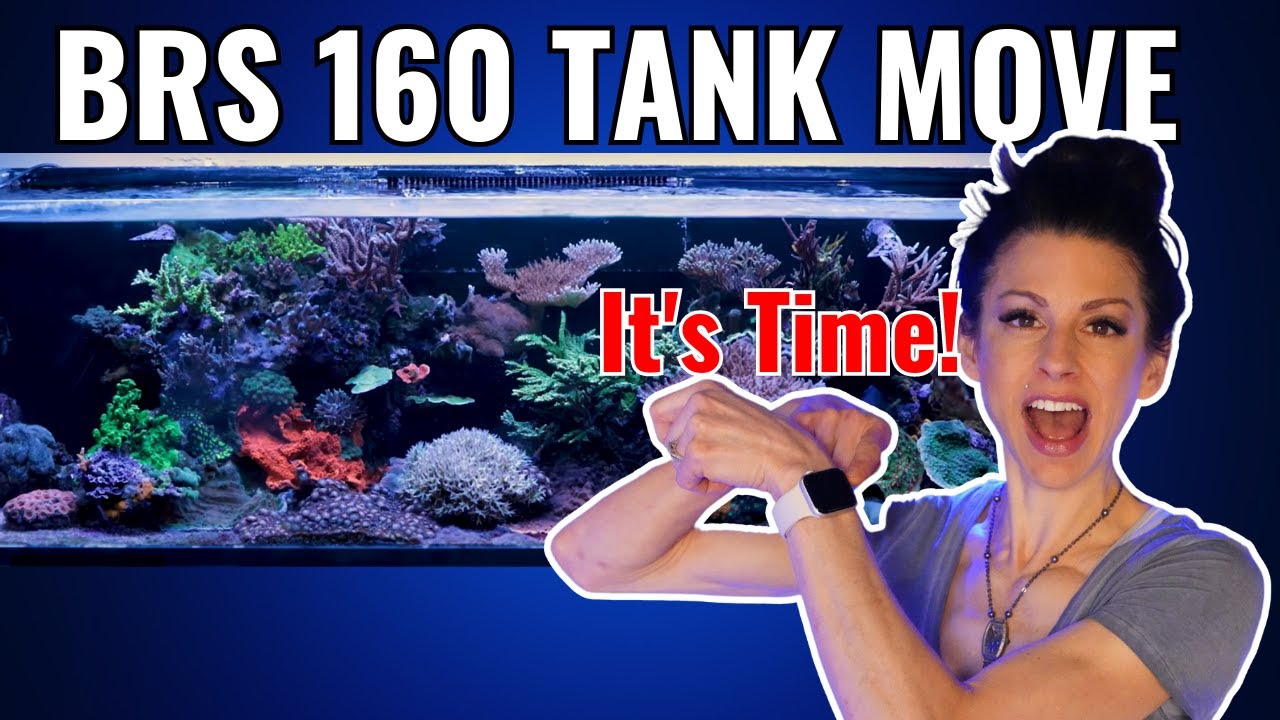 The BRS 160 Tank Move - YouTube