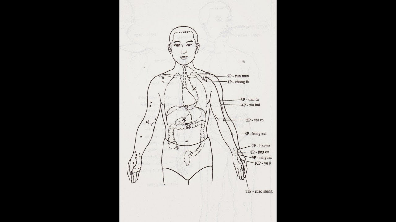 Méridien Principal du Poumon, 手太阴肺经 (1) : Description - YouTube