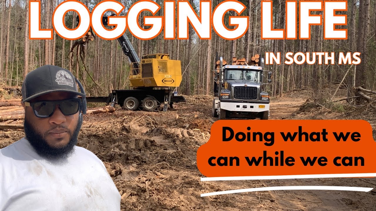 LOGGING LIFE IN SOUTH MS|| DOING WHAT WE CAN WHILE WE CAN - YouTube