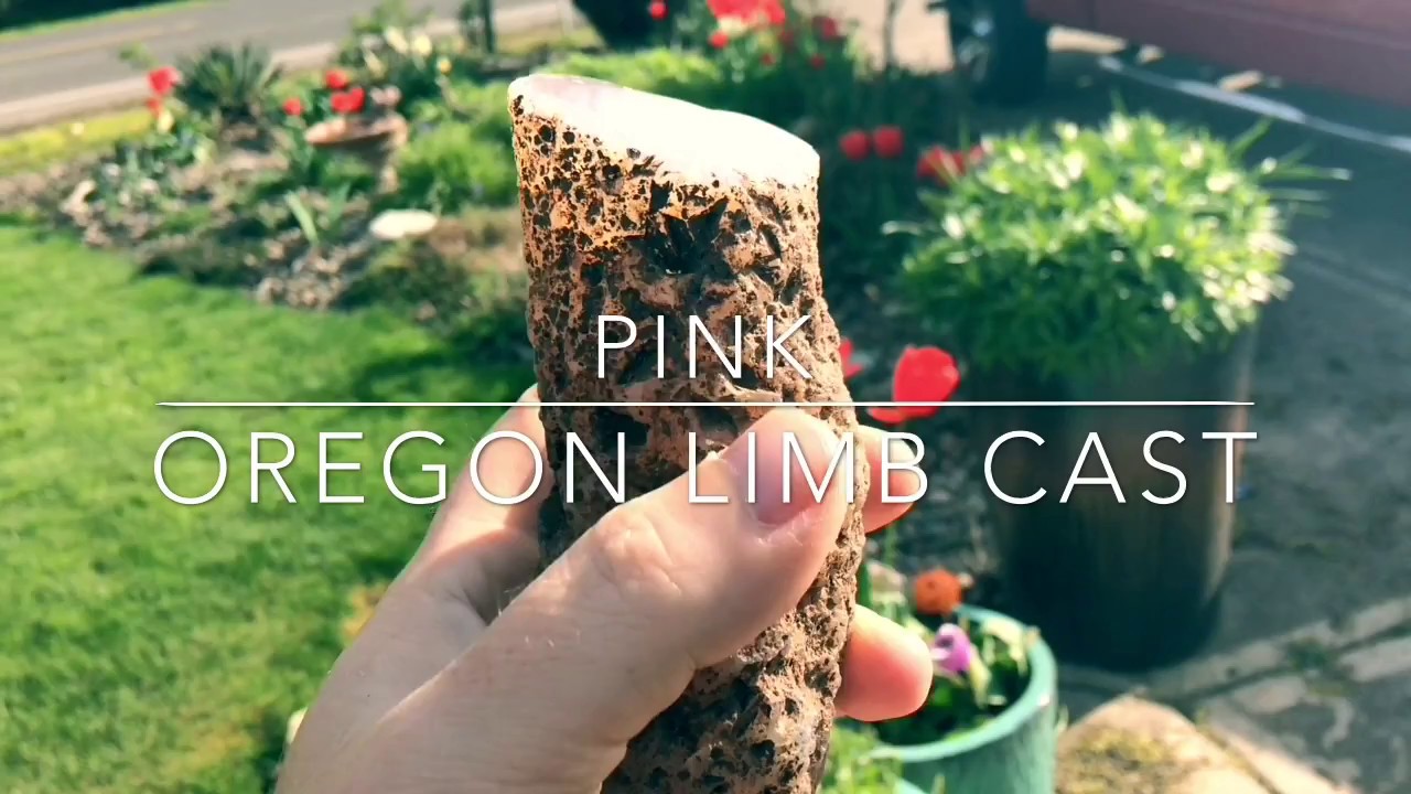 RockHounding Pink Oregon Limb Cast RockHound 2017 - YouTube