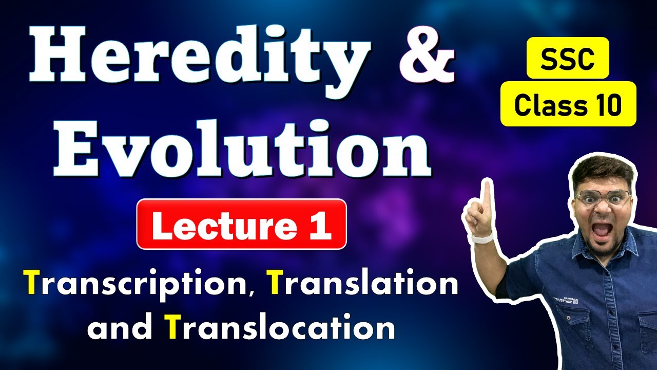 Heredity and Evolution | Lecture 1 - Transcription, Translation and Translocation | MH State ...