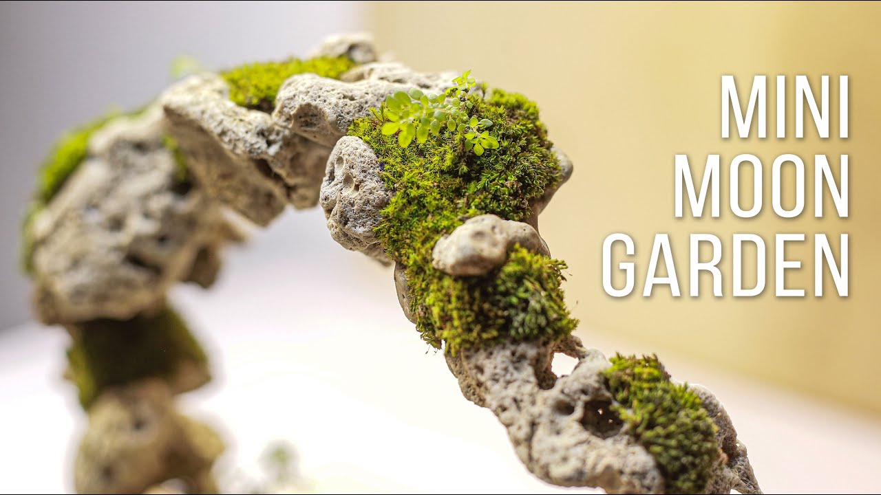 making mini moon garden - YouTube