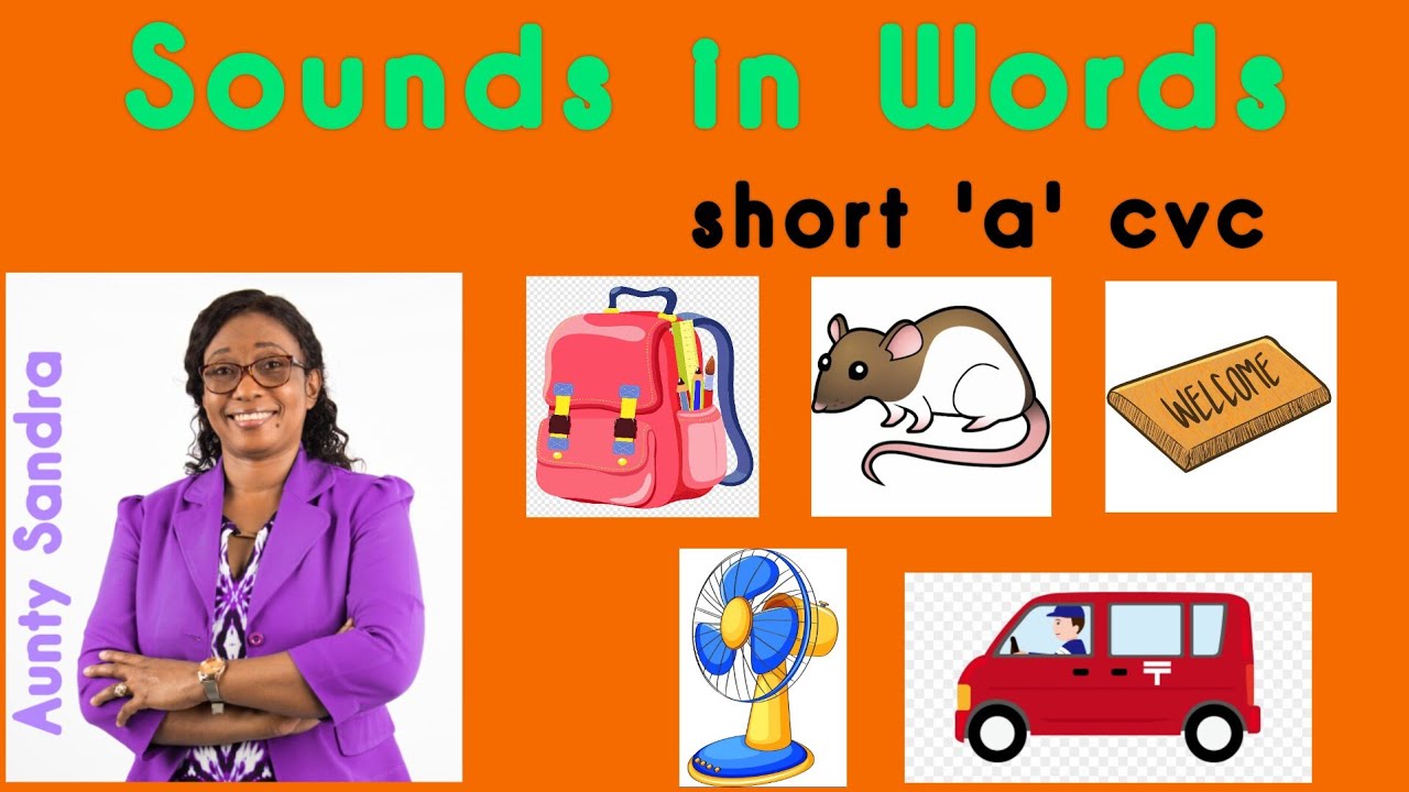 Identifying Letter Sounds in Words | Short 'a' cvc words | Phonemic ...
