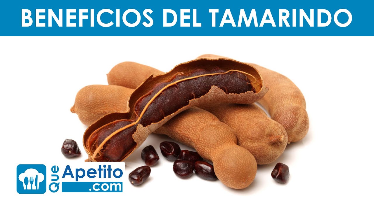 El Tamarindo Y Sus Propiedades: Tamarindo Propiedades Y Beneficios – ROGHB