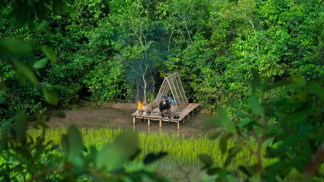 Girl Solo Bushcraft Off Grid Built The Most Practical Survival Shelter ...