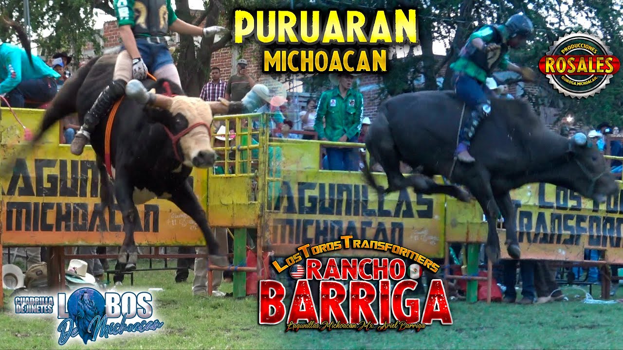 HECHO EN CASA WARRIOR | PLAZA LLENA | LA COBRA CON TODO!!! RANCHO ...