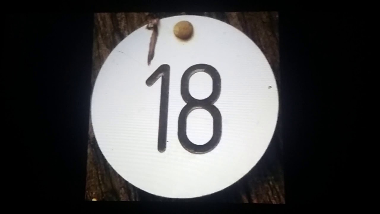 24 Second Countdown - YouTube