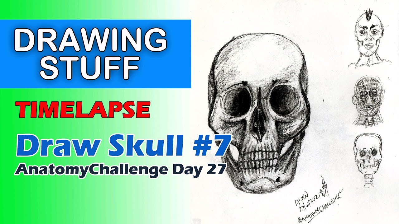 Drawing And Shading A Skull | Beginner Tutorial | #AnatomyChallenge Day ...