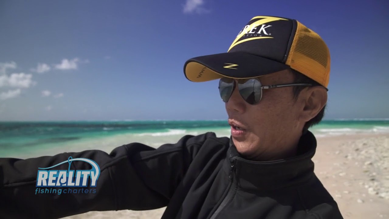 Big Cat Reality Cato Reef - YouTube