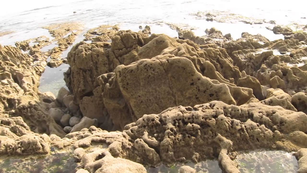 The coast next to Goat's Hole Cave (a.k.a Paviland Cave), Gower - YouTube