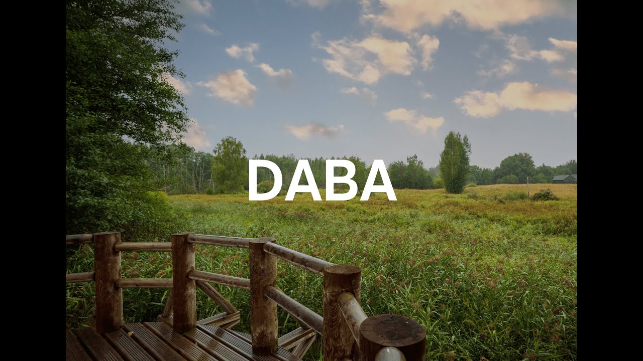 Daba - YouTube