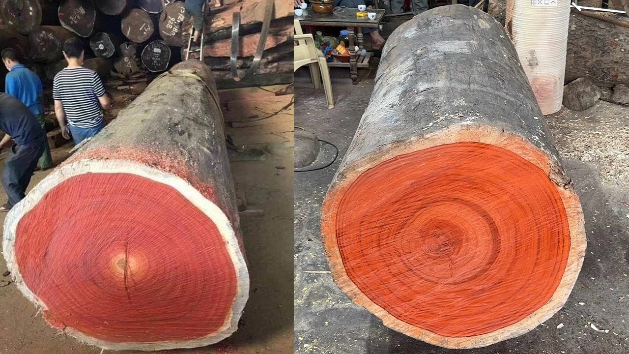 Amazing Sawmill Wood Cutting - Excellent Extreme Process Sawing Redwood ...