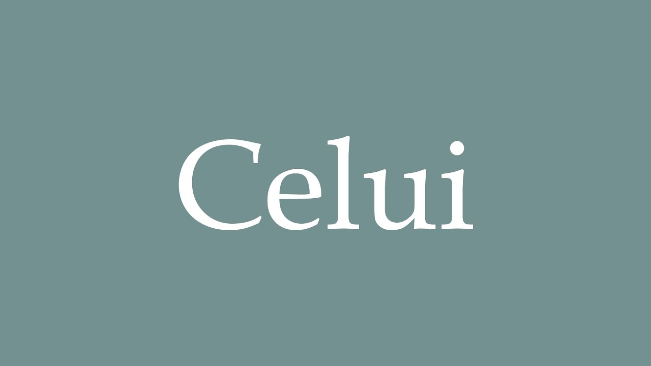 How to Pronounce ''Celui'' Correctly in French - YouTube