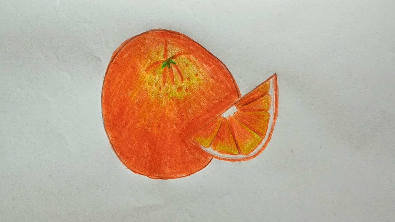 How to draw a Orange Step by step ||Fahima Drawing Academy || Art video ...
