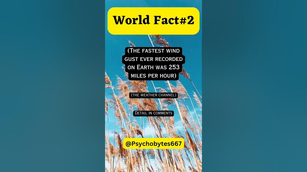 Did You Know World Facts youtubevideo facts shorts world did-you-know-world-facts-youtubevideo-facts-shorts-world