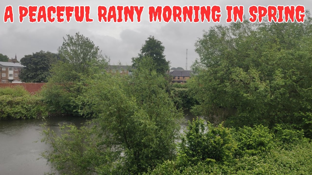 EARLY MORNING RAIN IN SPRING AND ASMR SOUNDS OF THE RIVER FROM MY ...